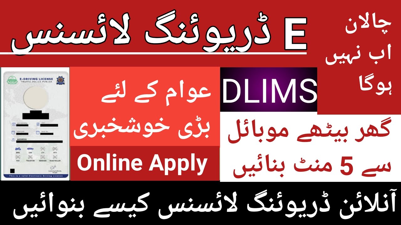 How to get Punjab Digital Driving License | Apply for Online E Driving ...