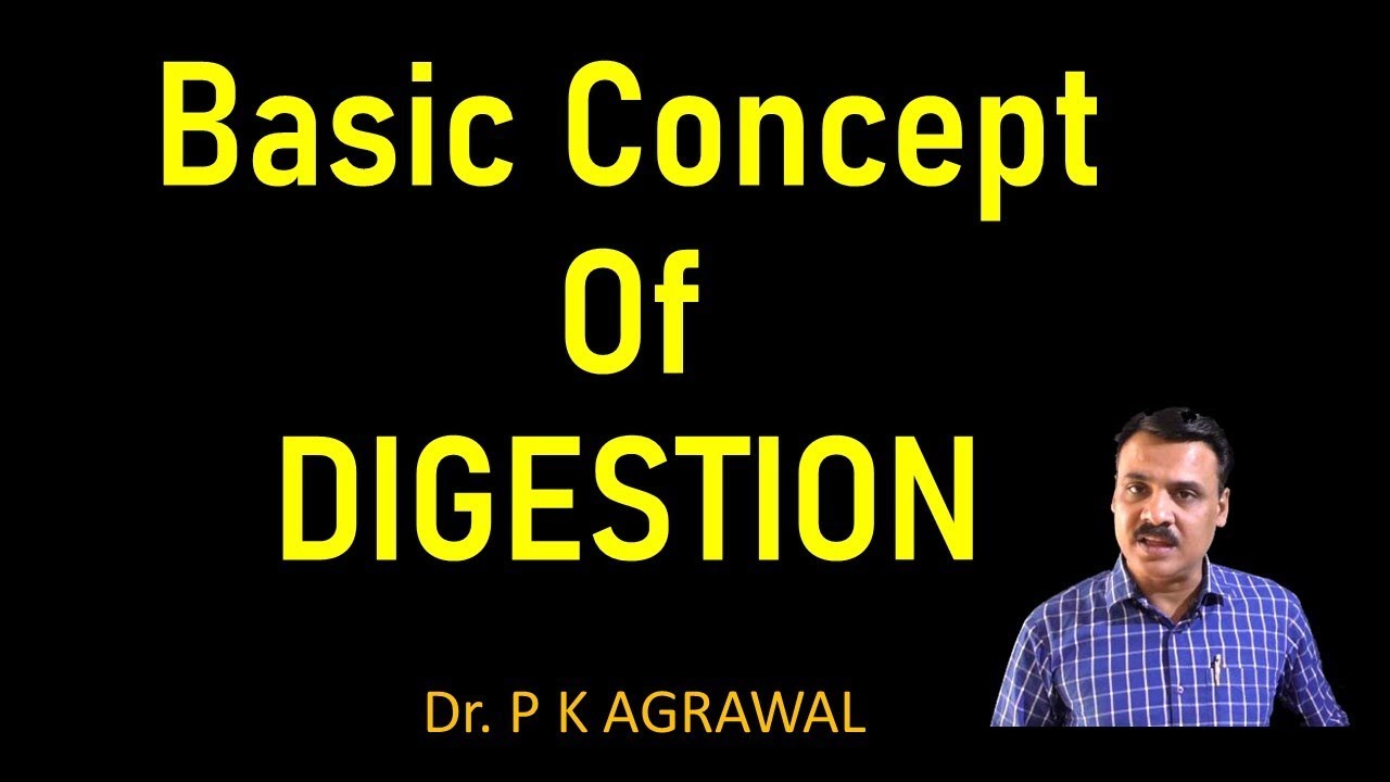 Digestion : Meaning and Concept - YouTube