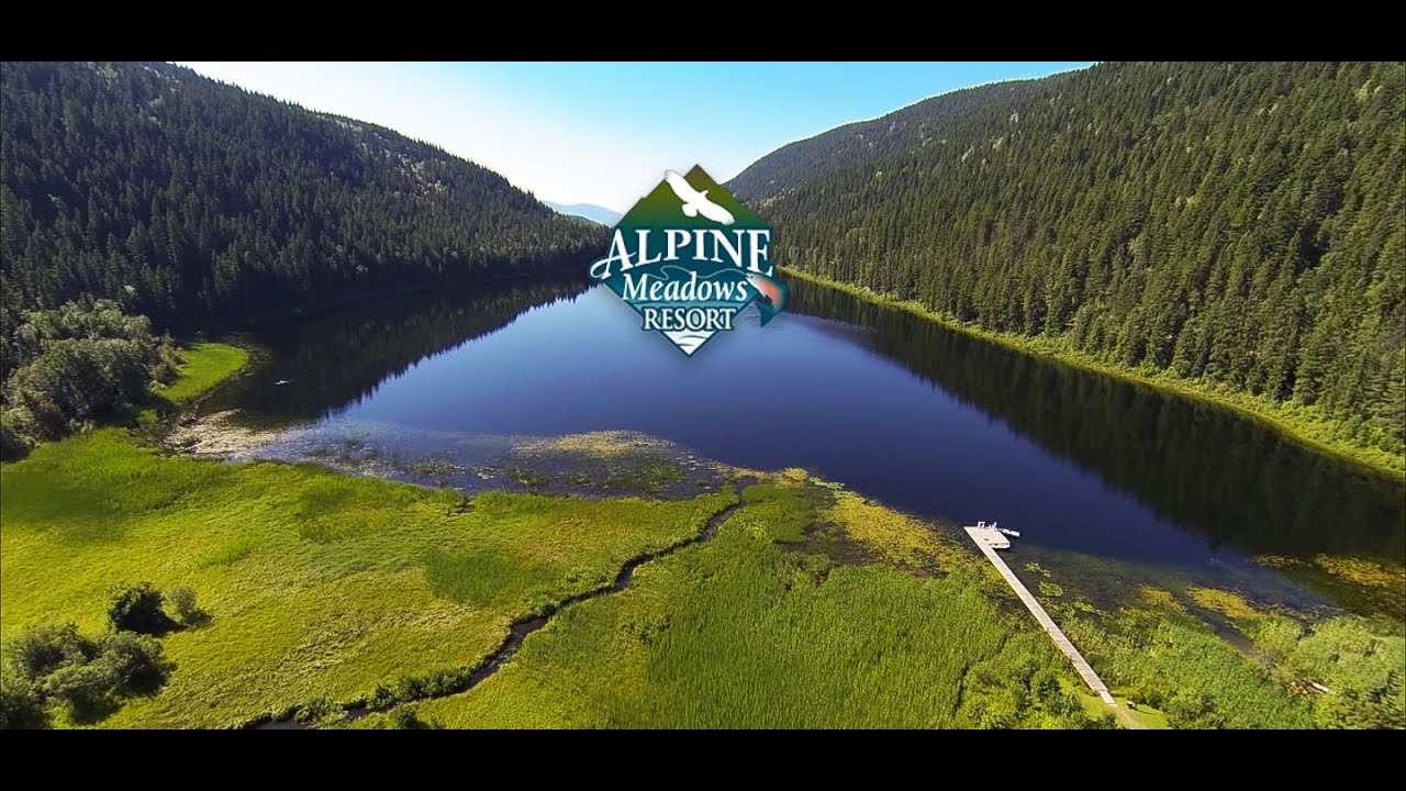 Alpine Meadows Resort - Top Rated Resort in Clearwater BC - YouTube