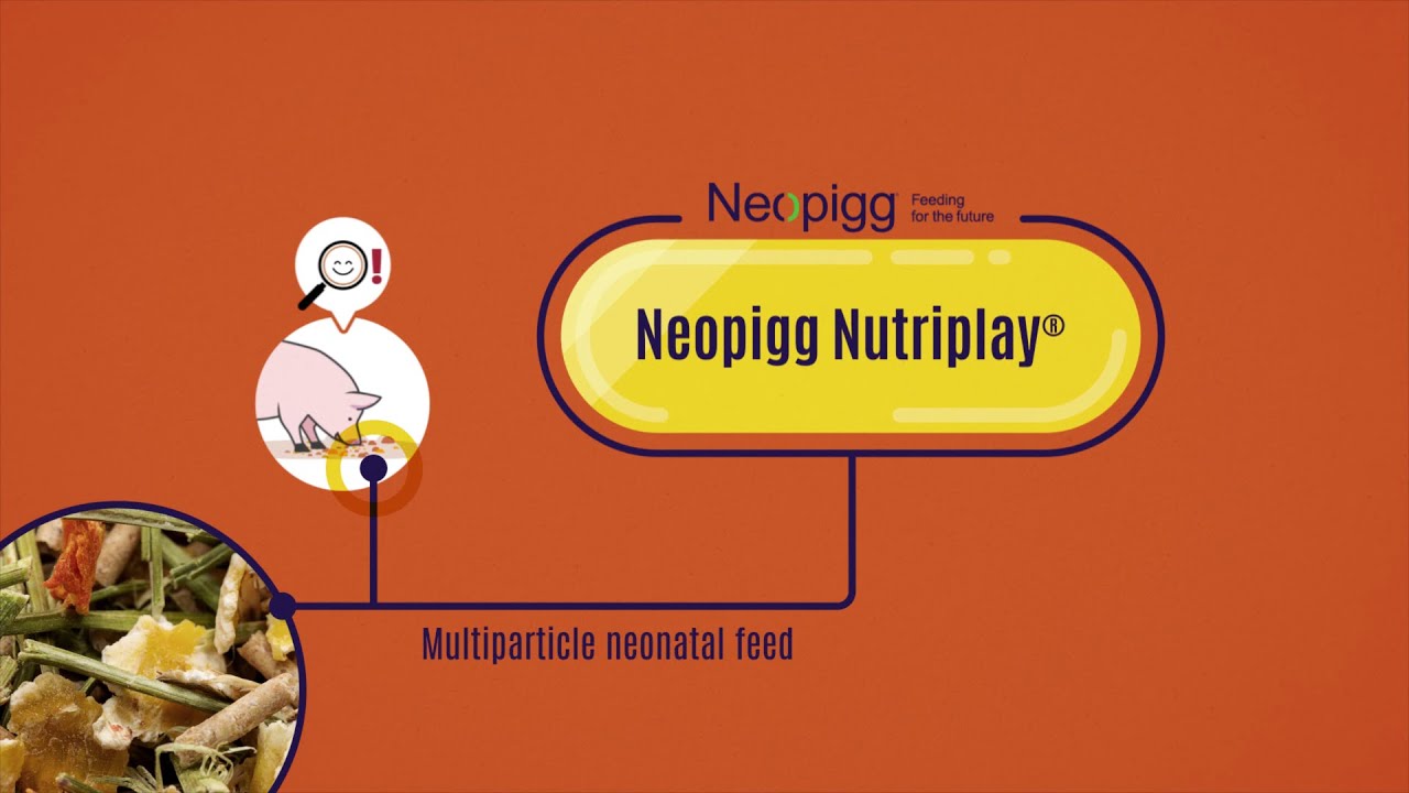 Produit Cargill Neopigg Nutriplay - YouTube