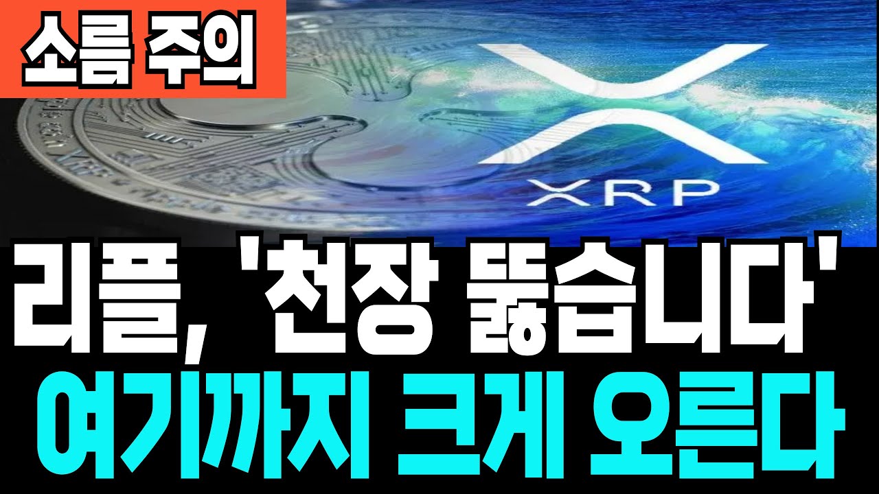 리플 전망 천장 뚫습니다 여기까지 크게 오른다리플전망 리플분석 리플호재 겐슬러해임 리플트럼프업비트시황 코인시황