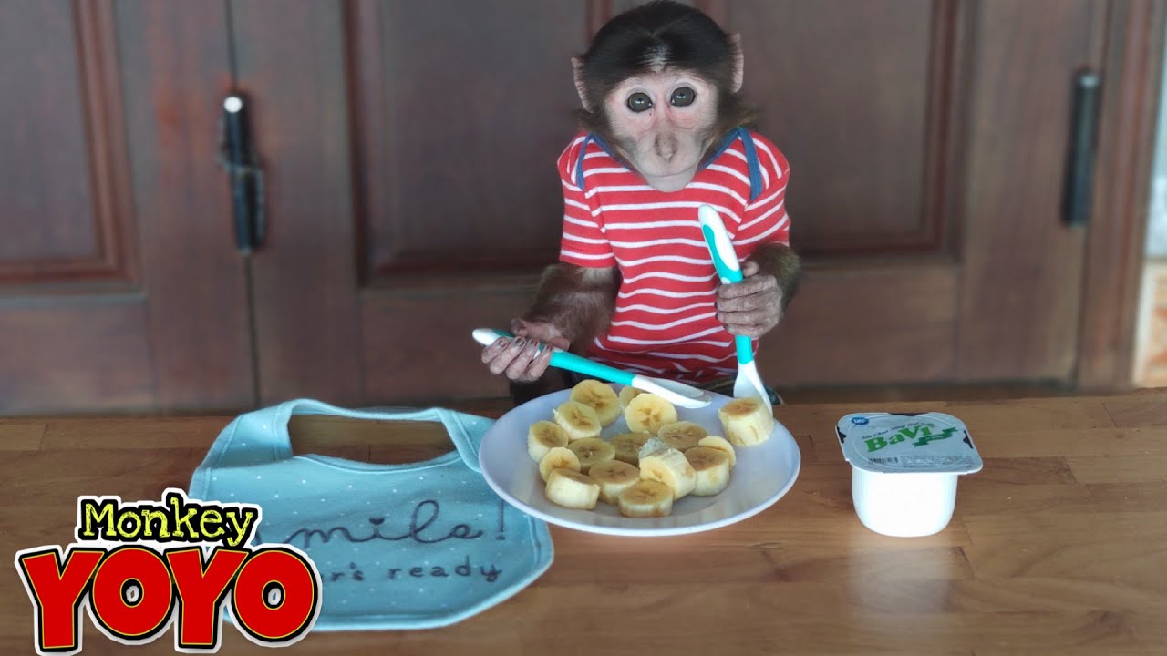YoYo JR eats bananas with fork and spoon - YouTube