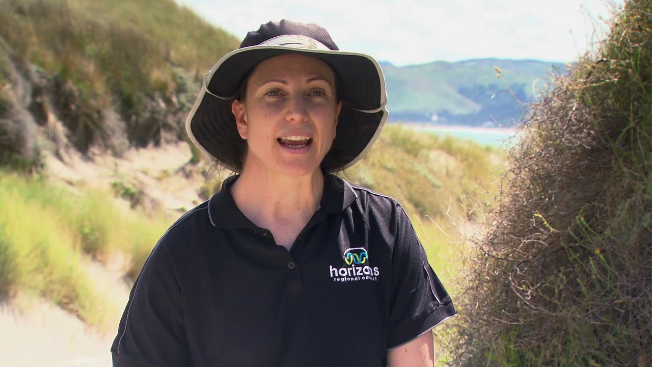 Cape Turnagain Endangered Species - YouTube