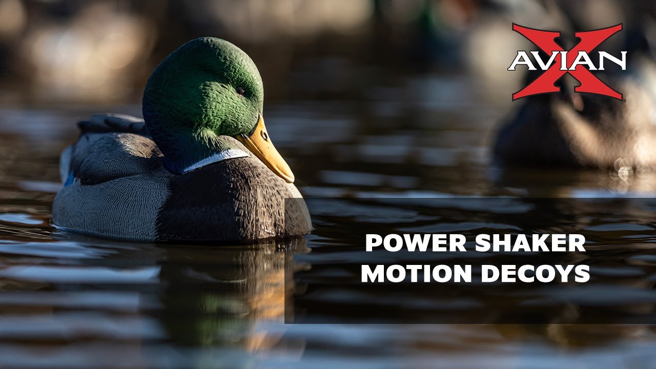 Avian X Power Shaker Motion Decoys - YouTube