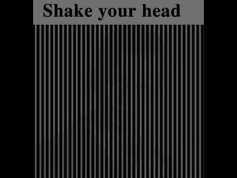 Who's in the Picture??? Shake Your Head!! - YouTube