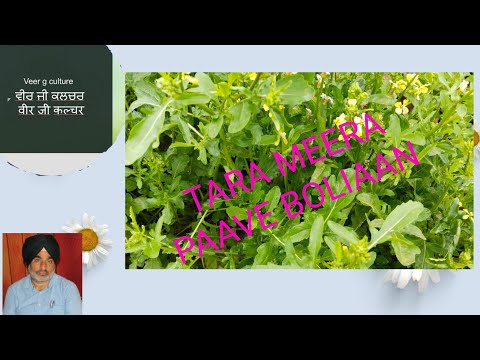 ##TARA MEERA PAAVE BOLIAAN@& - YouTube