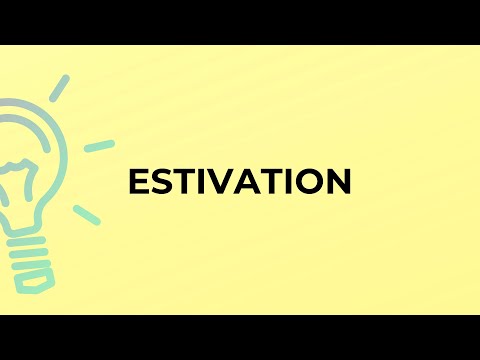 What Does Estivation Mean In Science
