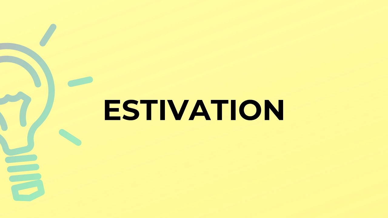 What is the meaning of the word ESTIVATION? - YouTube
