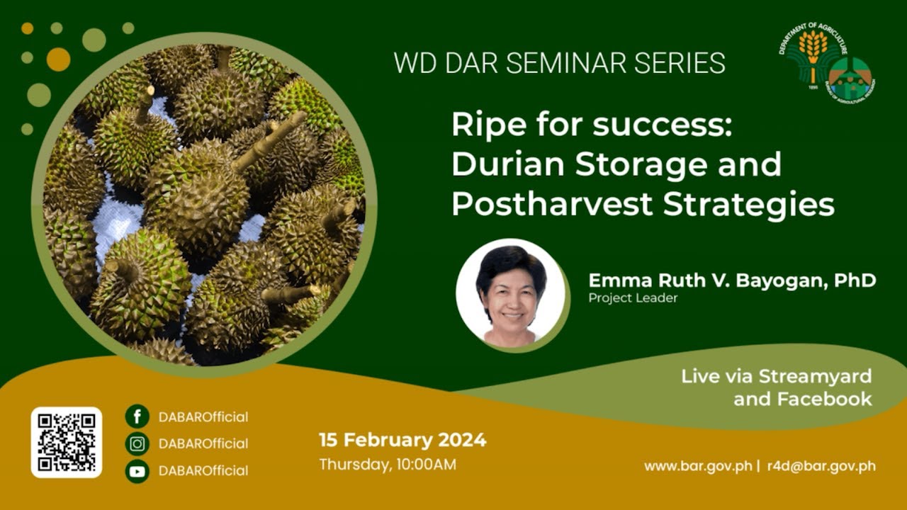 Ripe for success: durian storage and postharvest strategies - YouTube