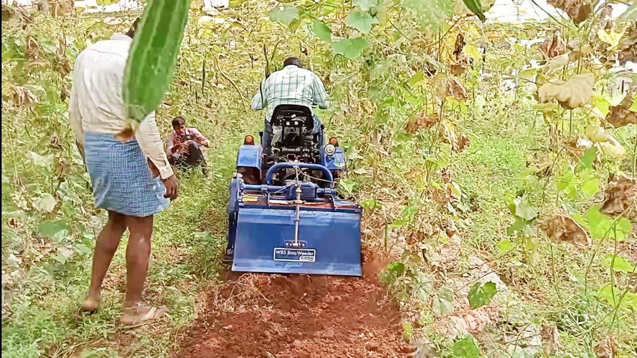 Swaraj Code 12hp tractor, low budget best intercultivation machine ...
