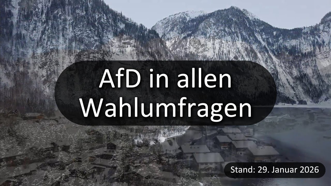 AfD in Wahlumfragen Stand: 29. Januar 2026 - YouTube