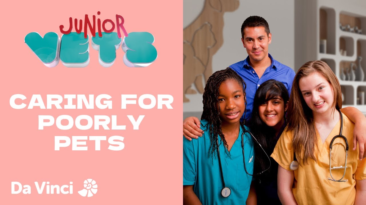 The Junior Vets are on a mission! - Trailer | Da Vinci - YouTube