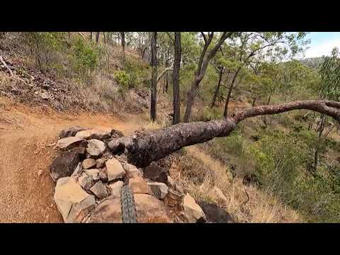 K9 First Turkey 🦃 Rockhampton - YouTube