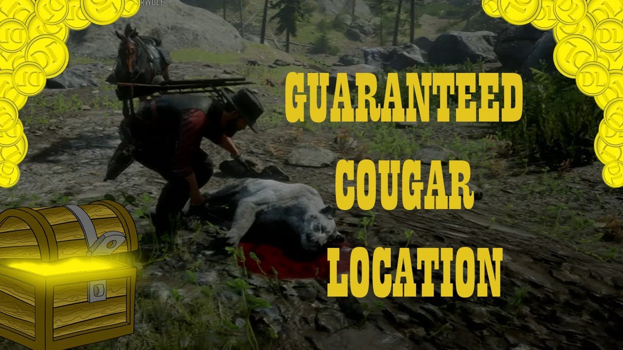 Red Dead Redemption 2 Online | Guaranteed Cougar Spawn Location - YouTube