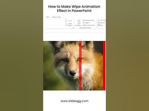 How to Make Wipe Animation Effect in Microsoft PowerPoint #slideegg #slideeggshorts #ppt - YouTube