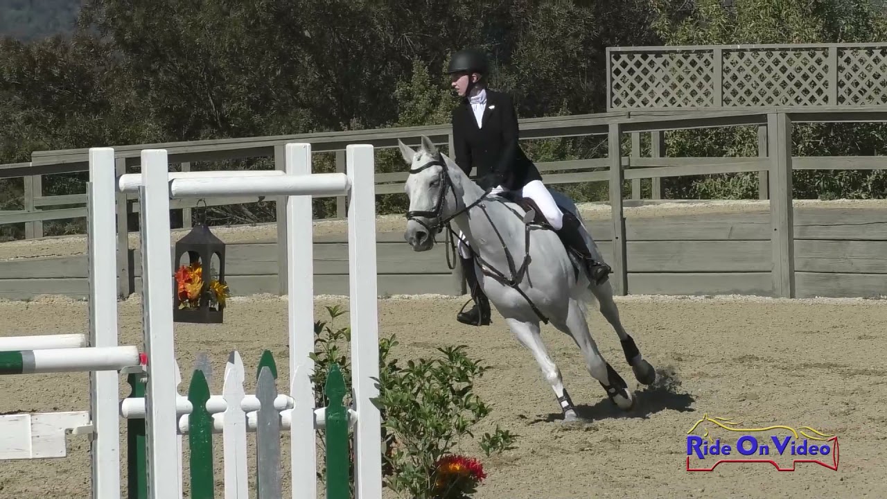 251S Maddie Berry on Spf Vision Quest JR Novice Show Jumping Woodside ...