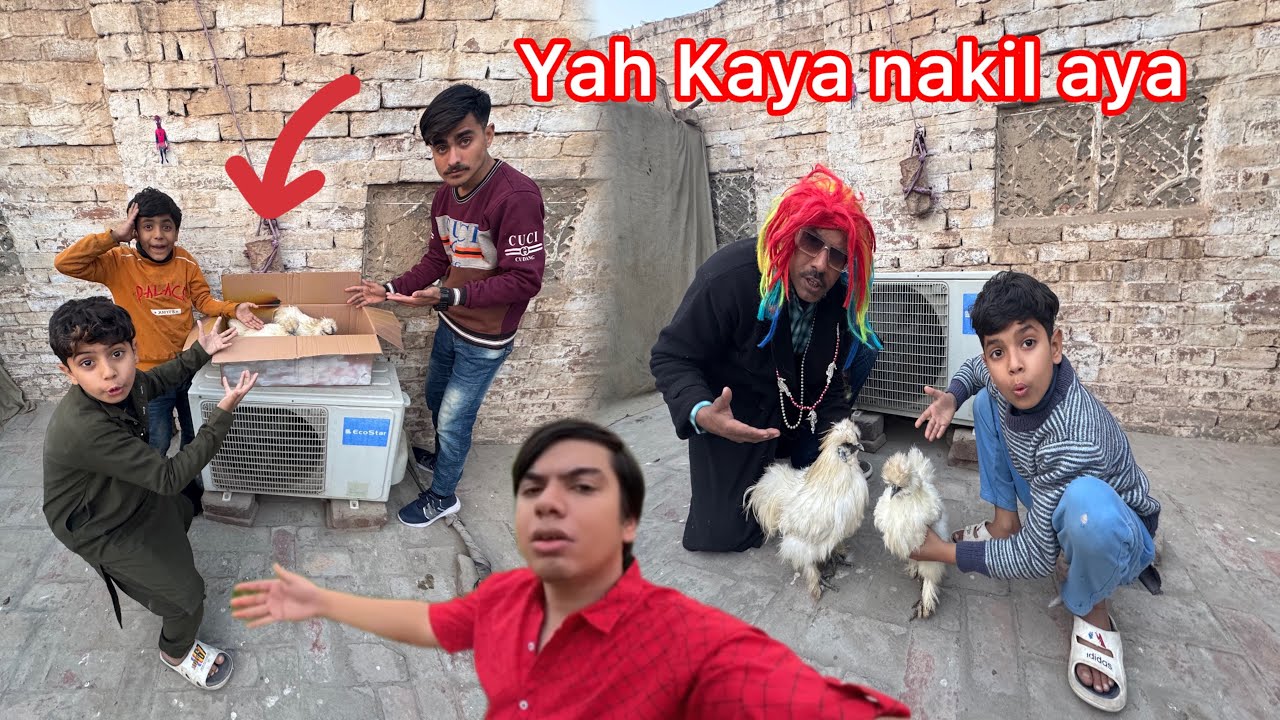 Magic box may say beautiful pets nakil aye🥰gabar 🐕ko kuch nazr a gya😱 ...