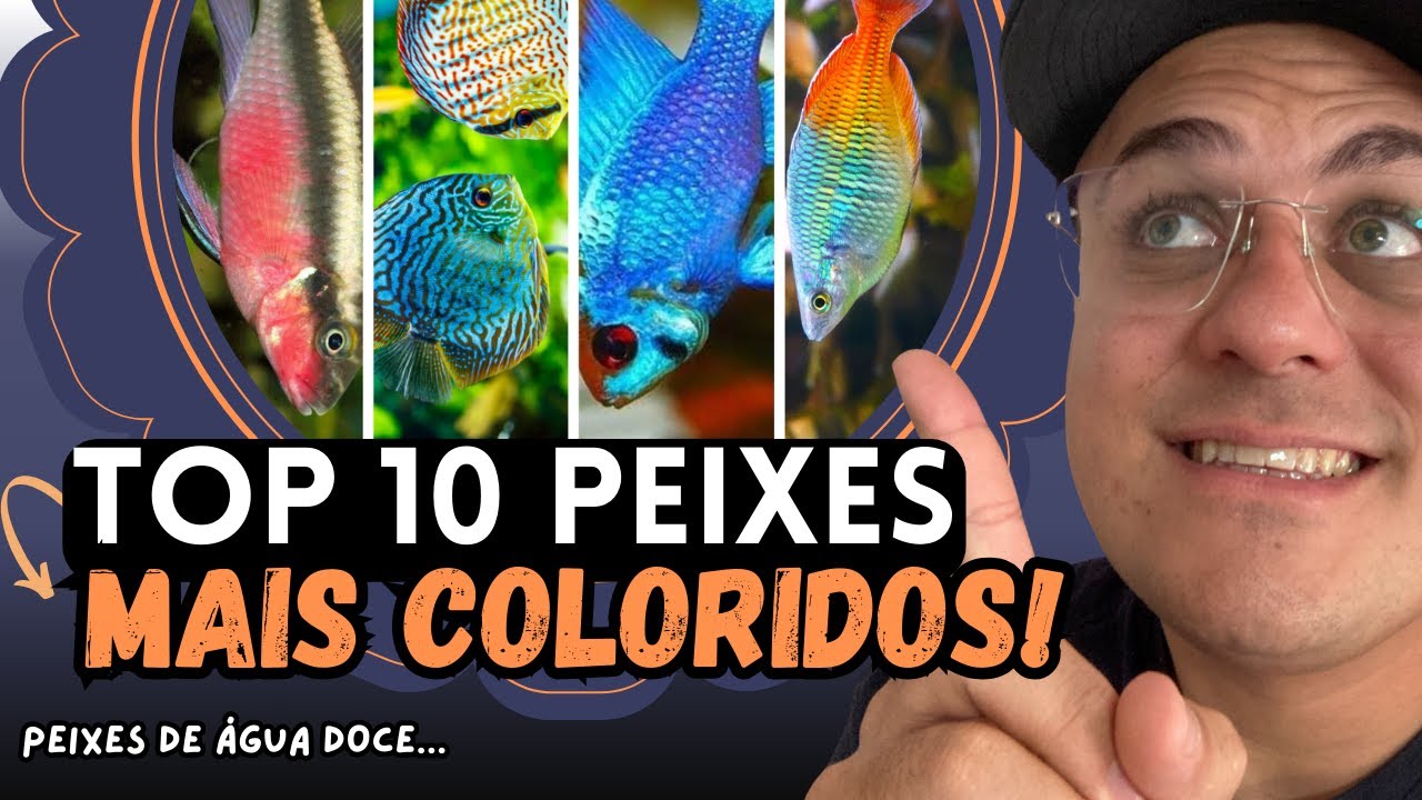 PEIXES MAIS COLORIDOS PARA AQUÁRIO DE ÁGUA DOCE - YouTube