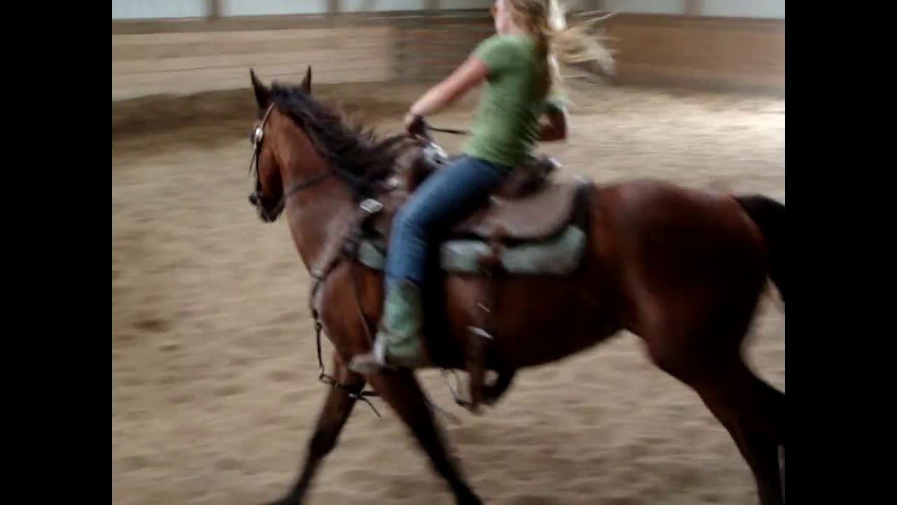 EXTRA GENTLE AND SAFE BAY MARE, ANYONE CAN RIDE, BEEN RIDDEN BY SMALL ...