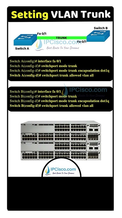 BEST VLAN TRUNKING CONFIG! | Network Configs | IPCisco.com #packettracer - YouTube
