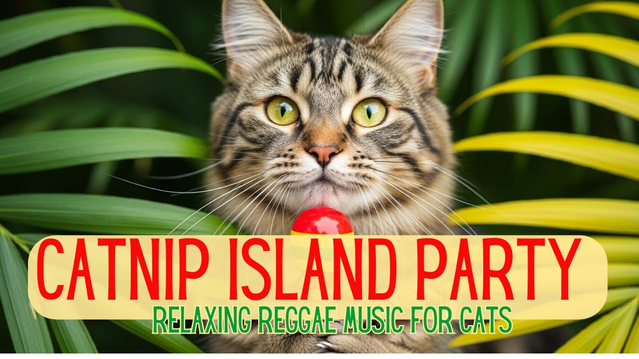 🌴🐾 Welcome to Catnip Island Party! 🐾🌴