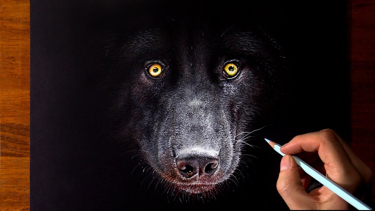 Wolf drawing on black paper - YouTube