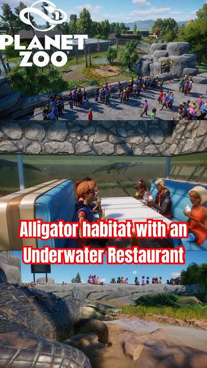 This is how I build an Alligator habitat with an Underwater Restaurant ...