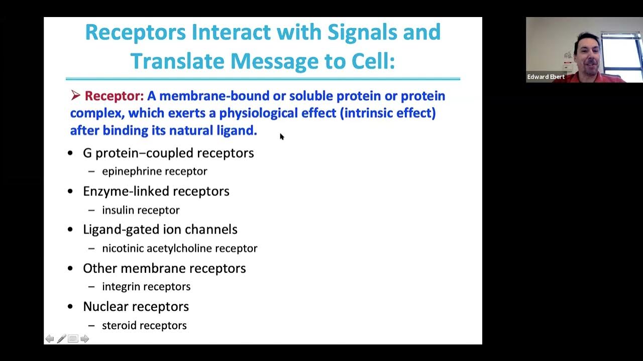 Lecture 12A - YouTube