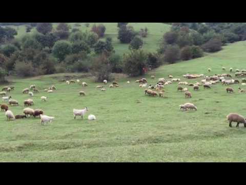 Yaylaq, Gusar, Azerbaijan