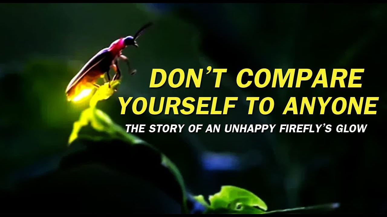 Stop the Comparison Game: Embrace Your Own Path - YouTube