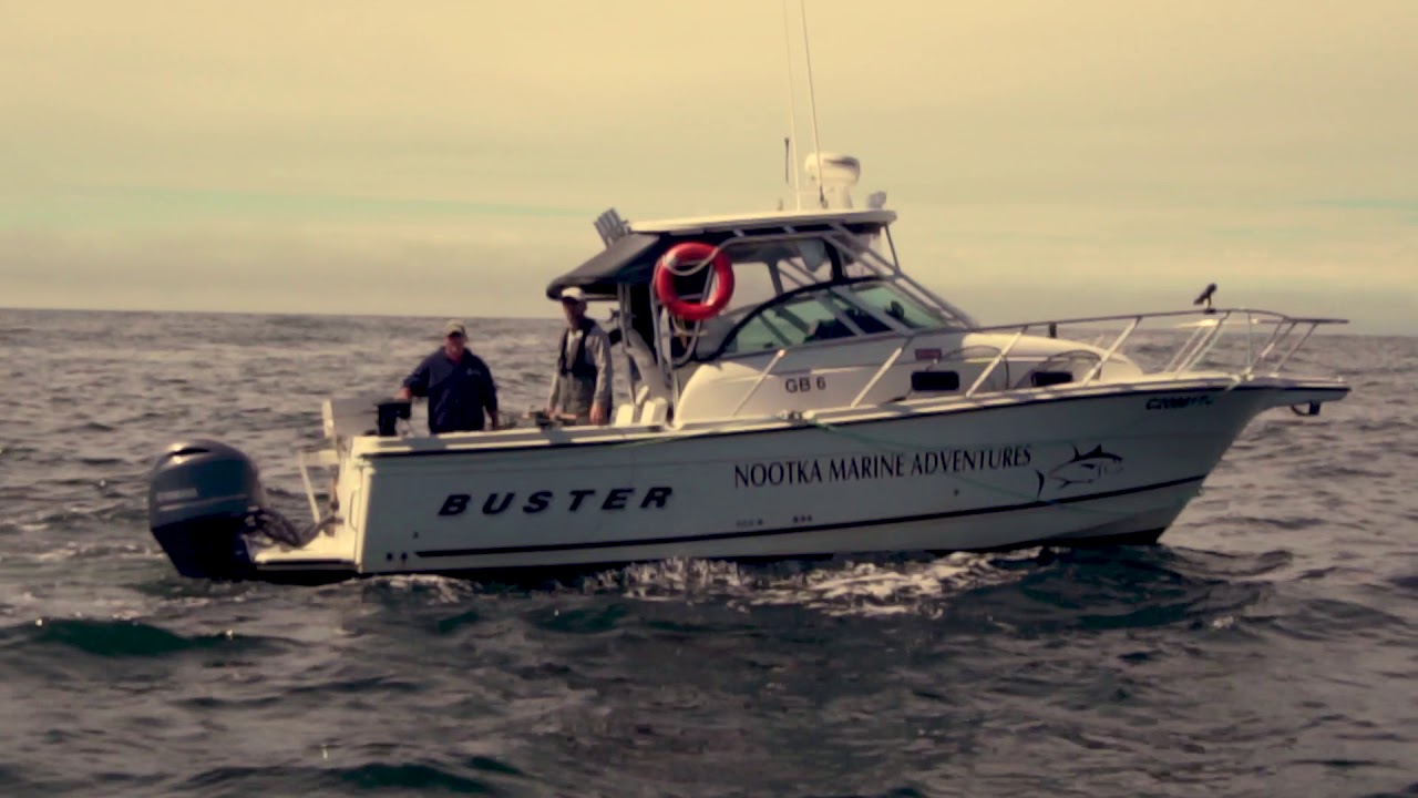 Newton Cove Resort 2017 - YouTube