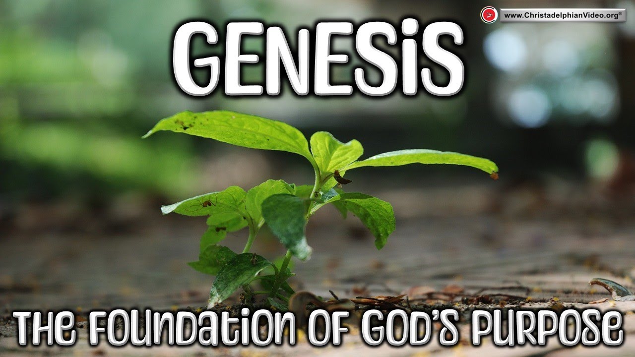 Genesis the Foundation of God's Purpose. - YouTube