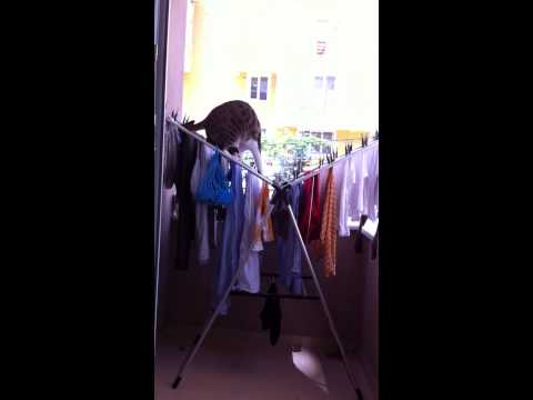 Çamaşırcı Güzeli ;))