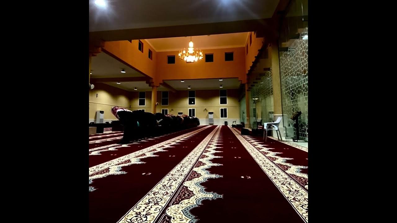 ما تيسر من سورة إبراهيم من صلاة العشاء تلاوة د هاني الشمري Youtube