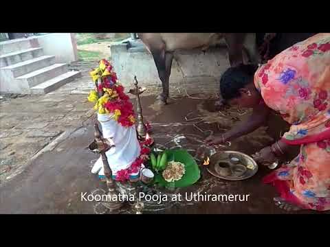 Koomatha Pooja at Uthiramerur - YouTube