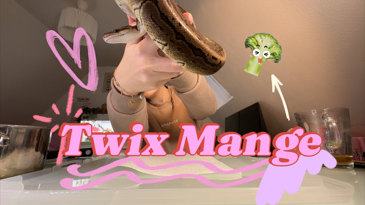 MON PYTHON TWIX MANGE SA SOURIS - YouTube
