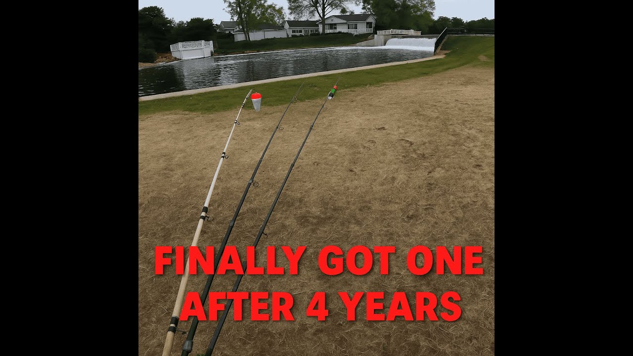 4 YEARS and I FINALLY caught one!!!! - YouTube
