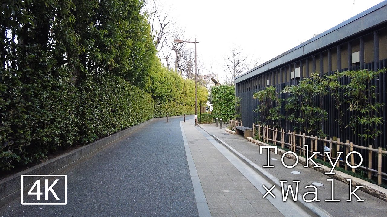 【4K街歩き】根岸/Tokyo × Walk（Negishi/東京散歩） - YouTube