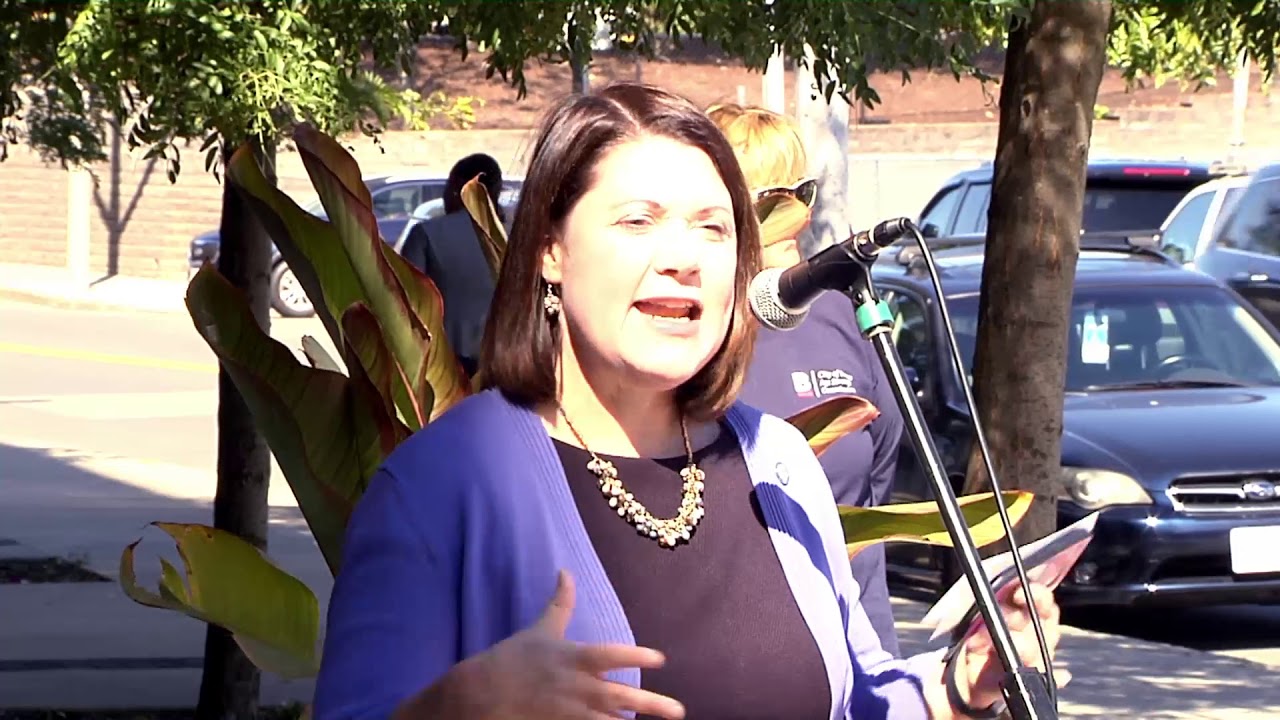 Age-Friendly Bench Program Launch - Promo - YouTube