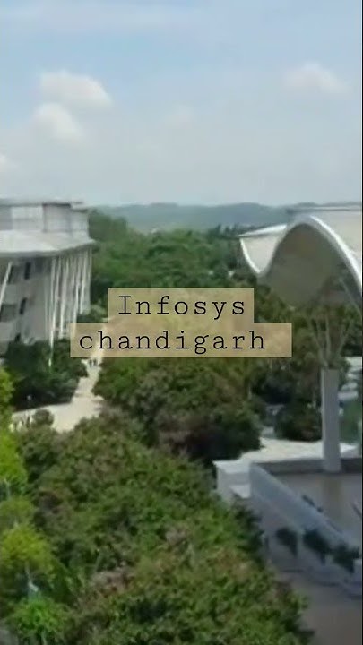 My infosys chandigarh office 🏢 - YouTube