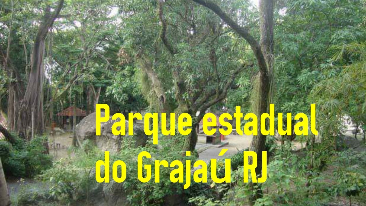 Parque estadual do Grajaú RJ, com o Valente - YouTube