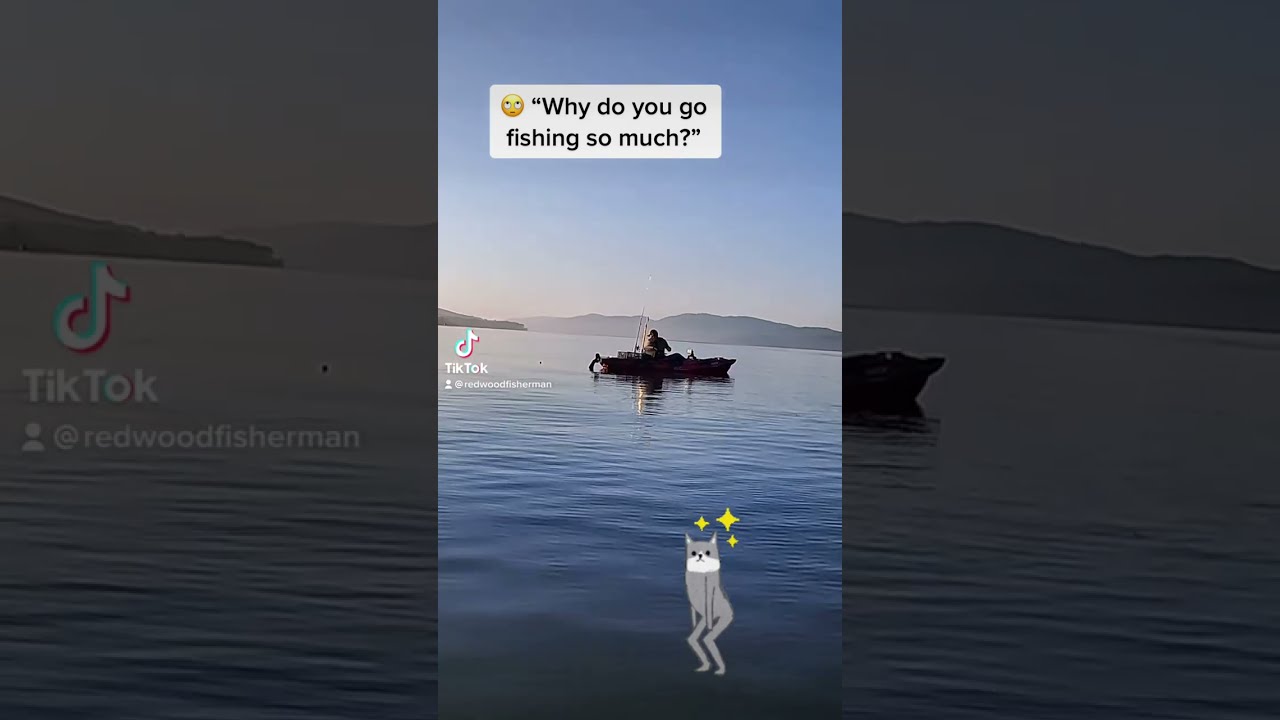 Why do I fish so much? #fishing #tips #learn #kayakfishing # ...