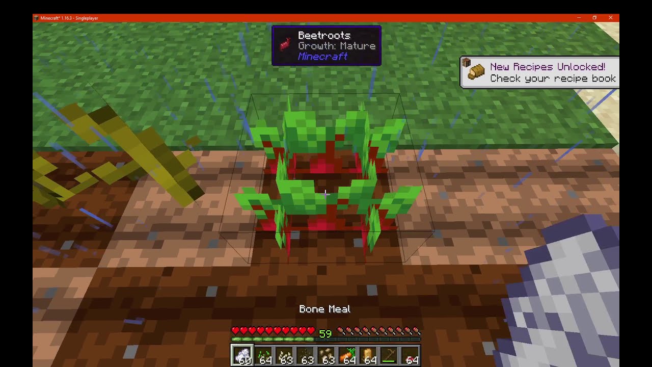 Instant Fertilization 1.16.3 Fabric Mod Overview - YouTube