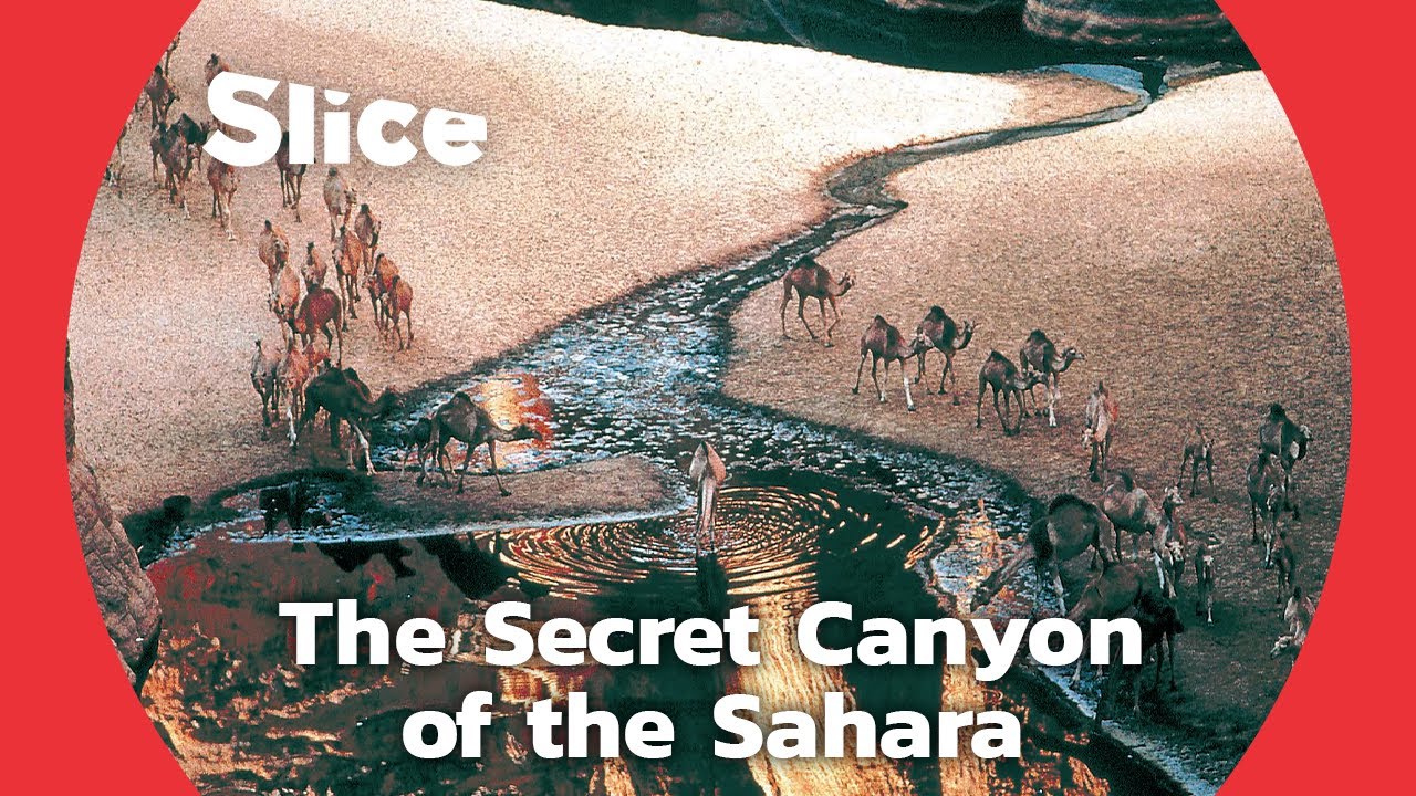 How to Walk Through the Shara Desert of Chad (PART 3) | SLICE - YouTube
