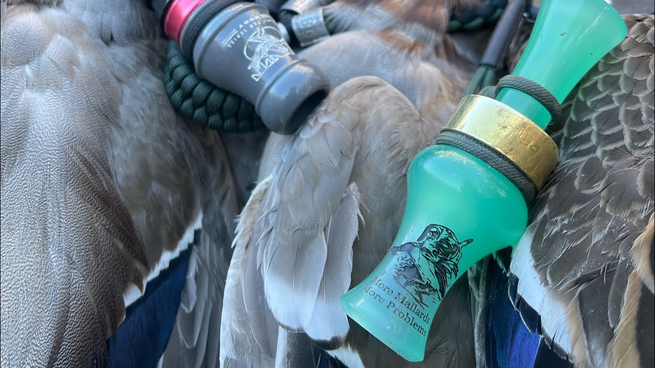 2022/23 California Hmong duck hunting - YouTube