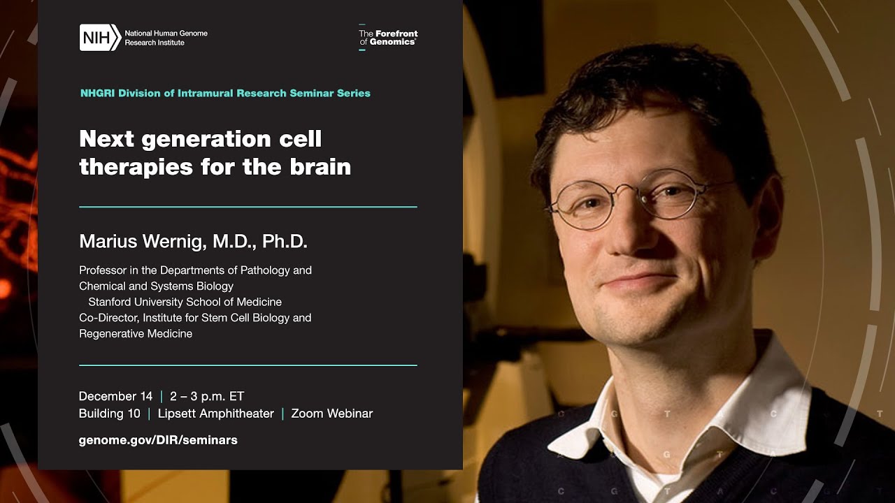 NHGRI DIR Seminar Series - Marius Wernig - YouTube