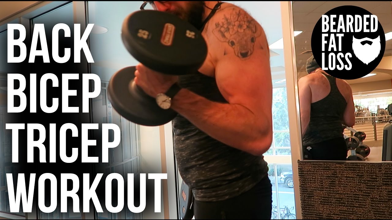 30 MINUTE BACK/BI/TRI DAY | Beginner Workout - YouTube
