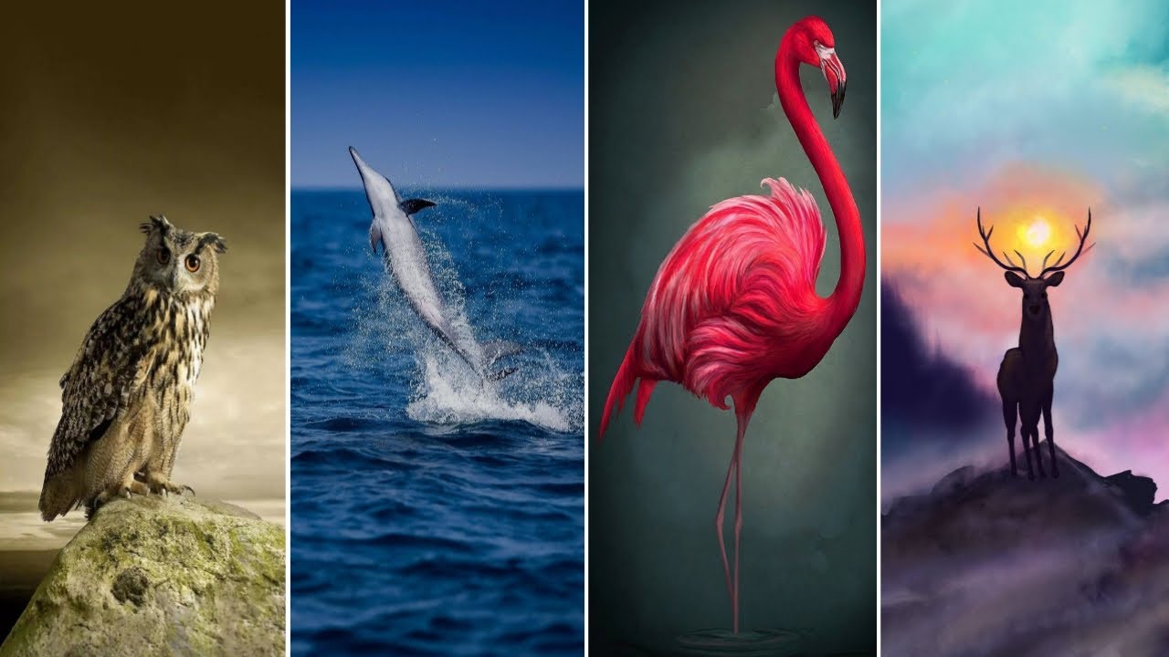 30 Best Animal Mobile Wallpapers | Nature Wallpapers | Best Corner ...