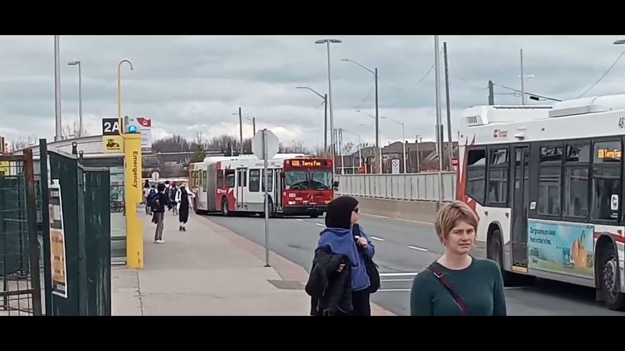 OC Transpo buses @ Baseline Transitway stop film today on 10/25/2022 ...