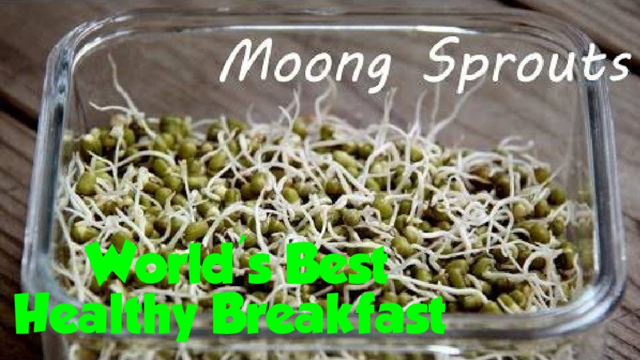 How to Prepare Sprouts at Home in telug||లేత మొలకలు తయారీ pragnachannel ...